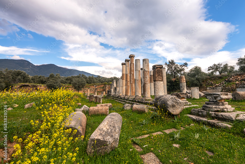 Nysa Ancient City history BC. It is based on the 3rd century. It was ...