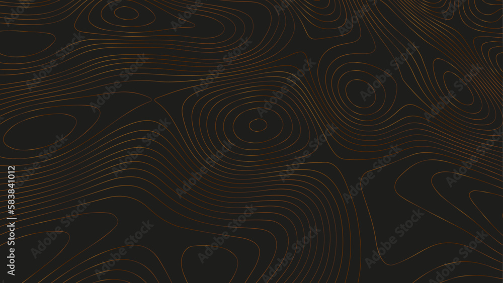 Topographic map patterns. Vintage outdoors style. Topographic map and ...