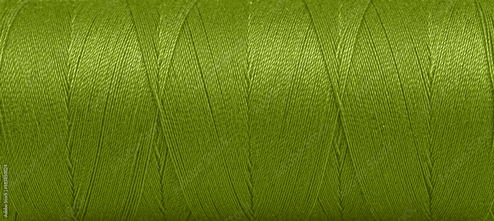 Texture of threads in a spool of green color on a white background ...