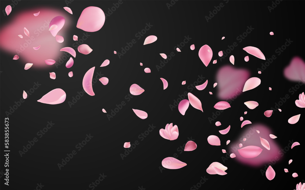 Flying fragile pink and white sakura petals. Symbol of Japanese culture ...