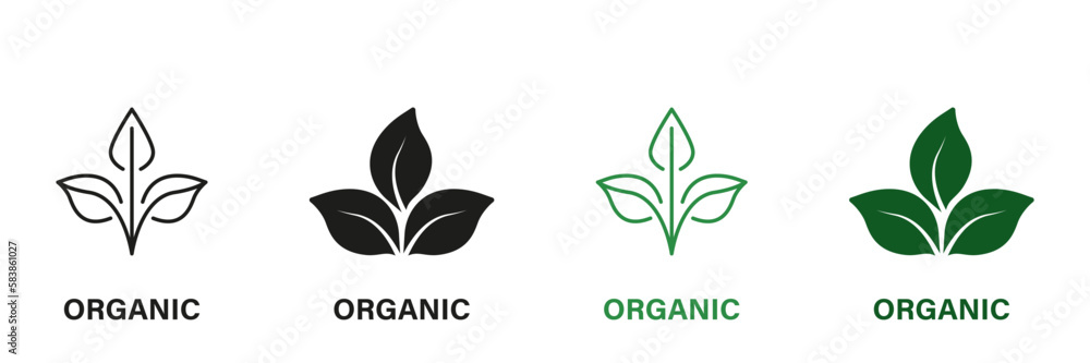 Organic Product Green and Black Icon Set. Natural Bio Healthy Eco Food ...