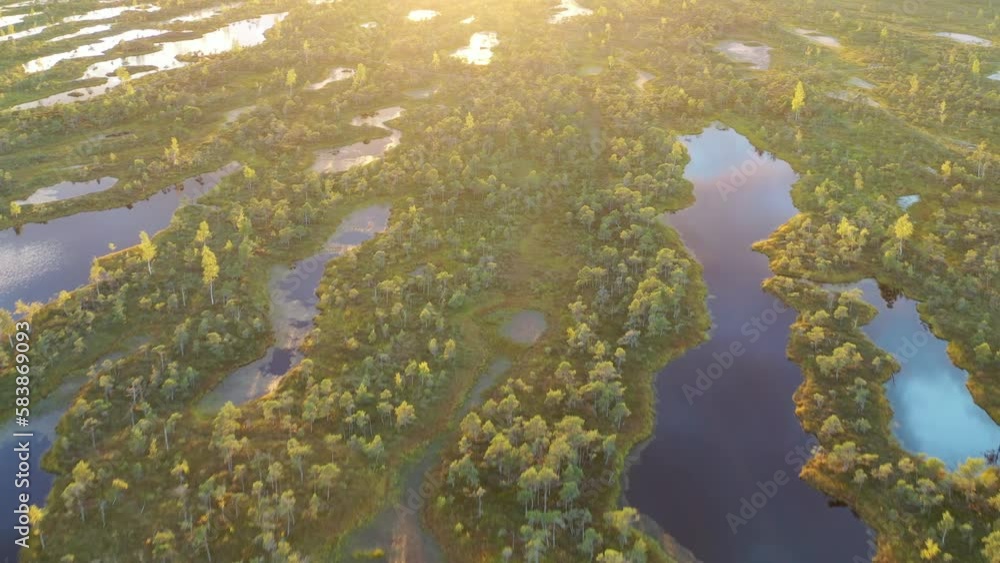 Hovering above a swamp, the quadcopter captures a panoramic view of the ...