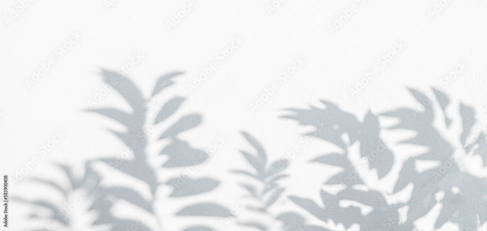 Leaf shadow and light on wall background. Nature tropical leaves tree ...