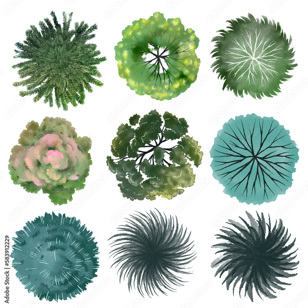 Set of Architectural plans trees isolated on white background. Bushes ...