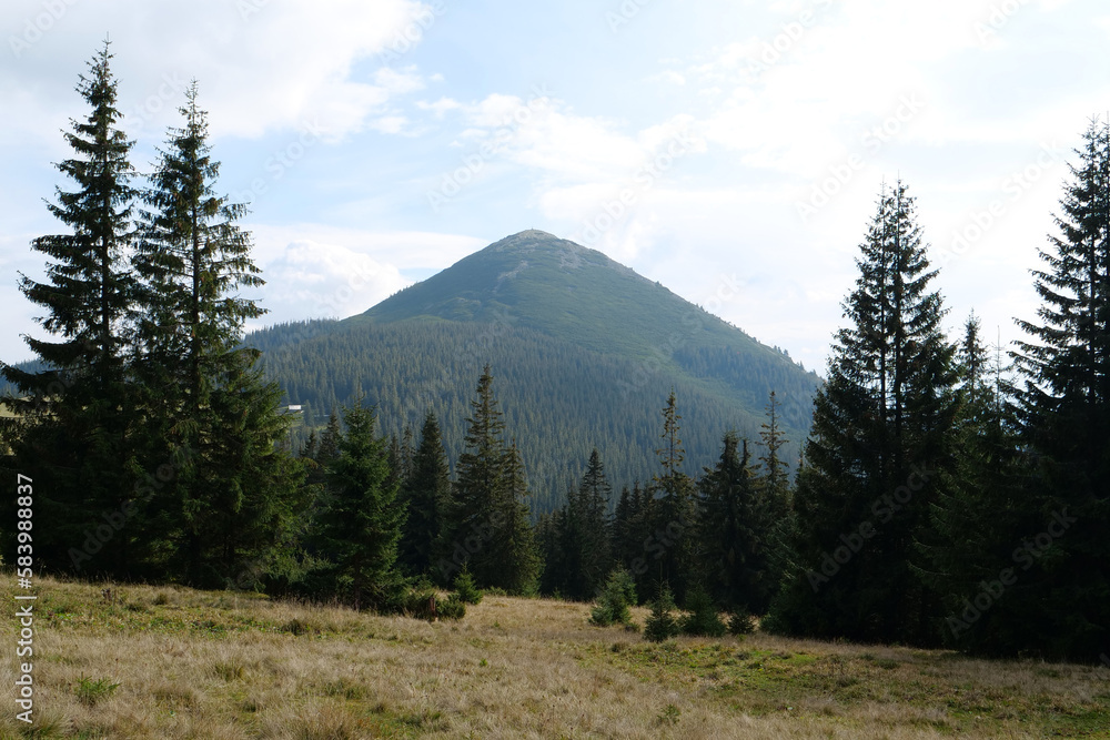 Gorgany - mountain range in Western Ukraine. View to Hamster mount ...