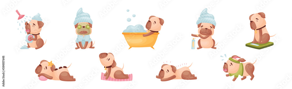Cartoon Pug Dog Character Doing Spa and Hygiene Procedures Vector Set ...