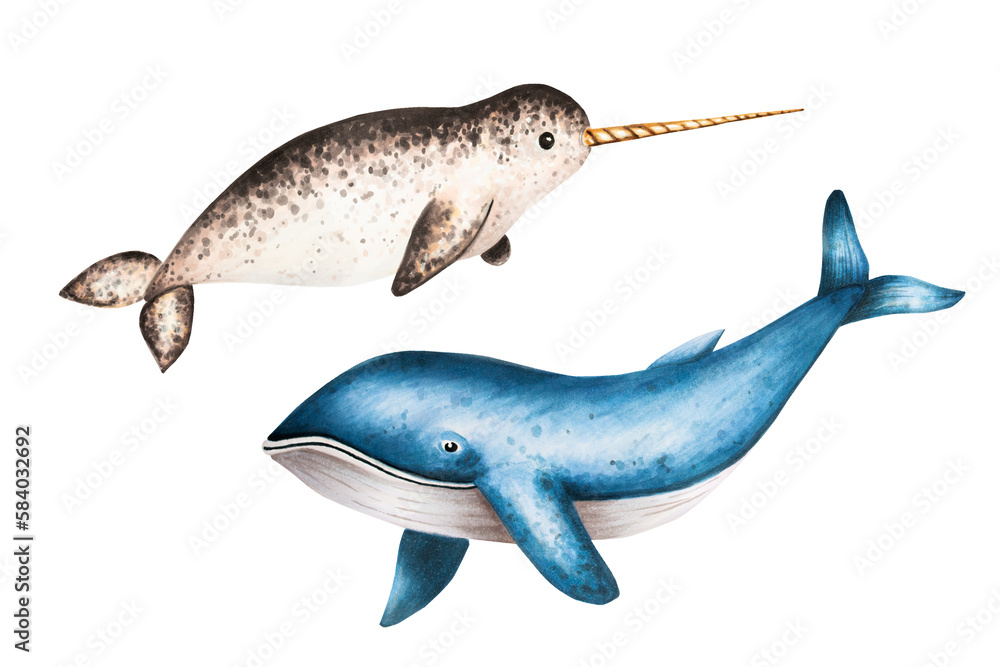 Watercolor narwhal with long tusk and blue whale isolated on white ...