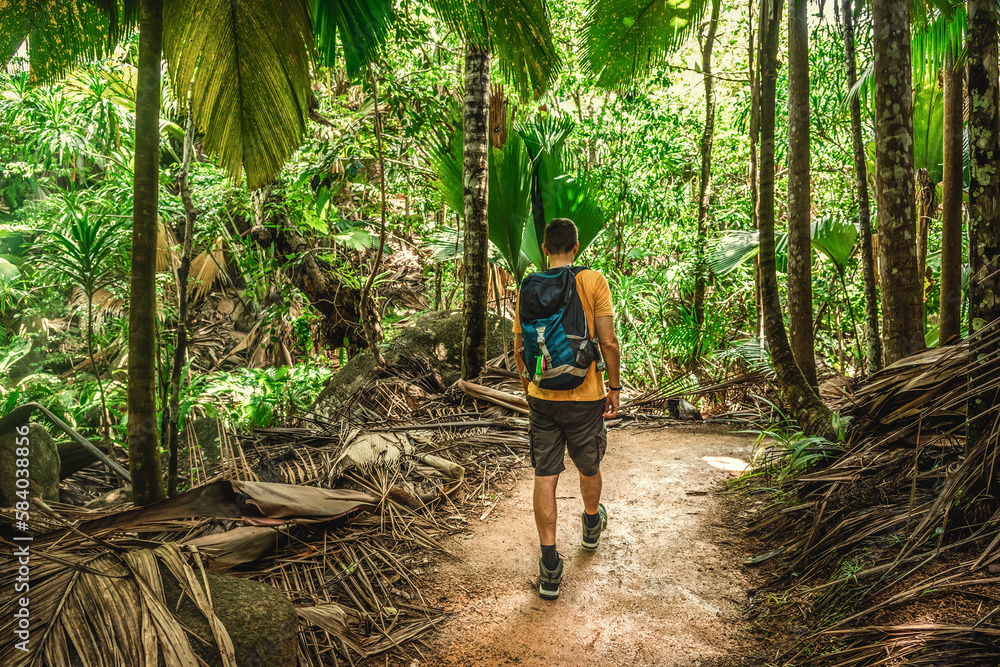 Man walking on a path in the jungle Stock Photo | Adobe Stock