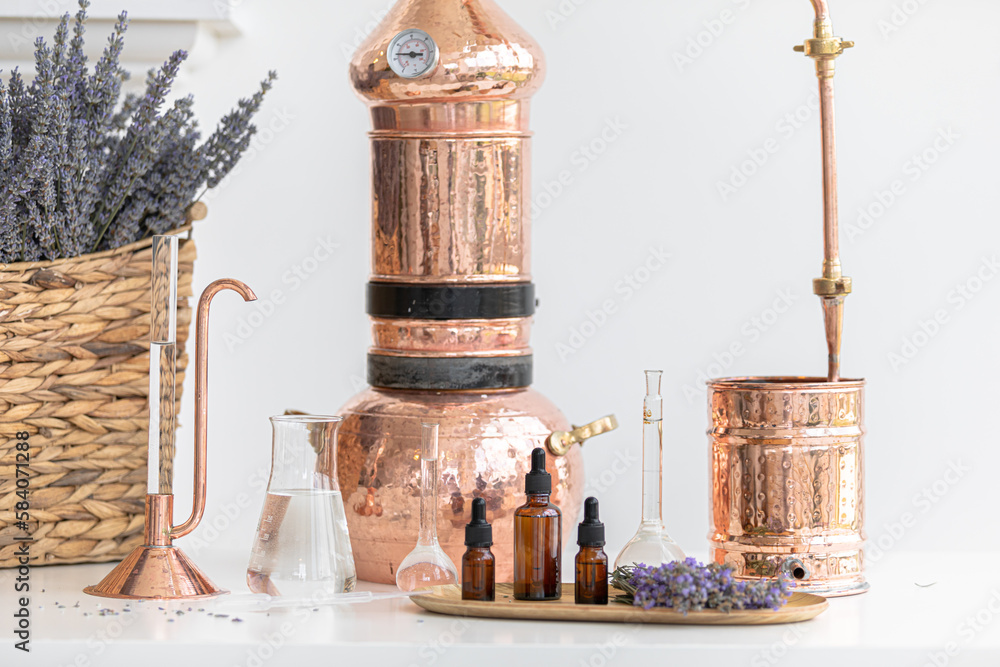 Distillation of lavender essential oil. Copper alambic in a ...