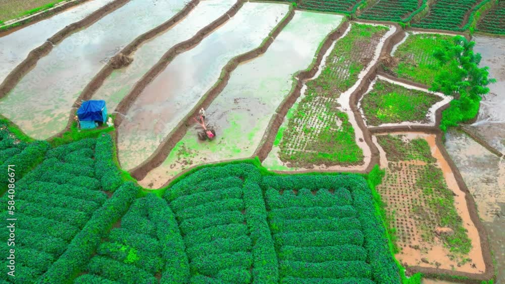 Farmers are plowing the fields with a tractor which is the traditional ...