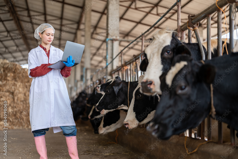 Female veterinarian in a white medical gown stands in a cowshed and ...