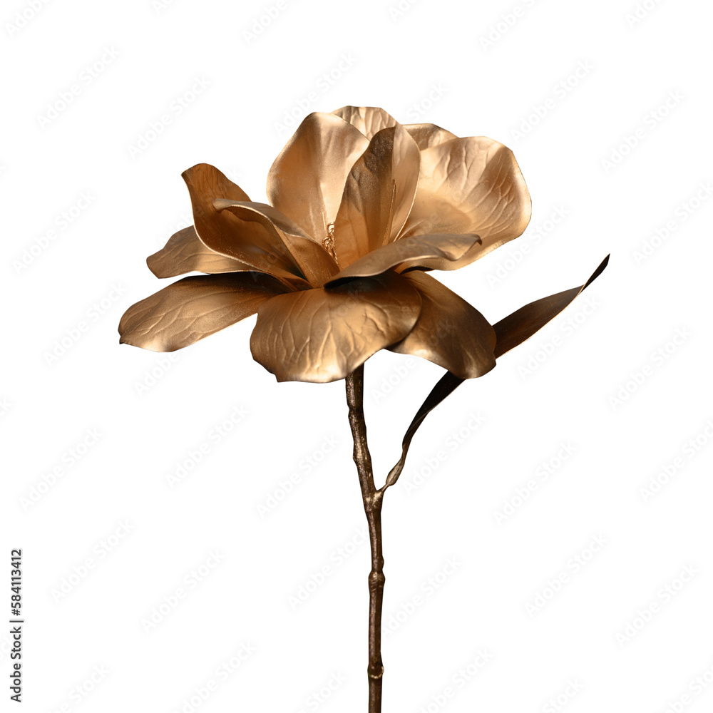 Poster Golden flowers on transparent background ,PNG – Wall Art | UkPosters