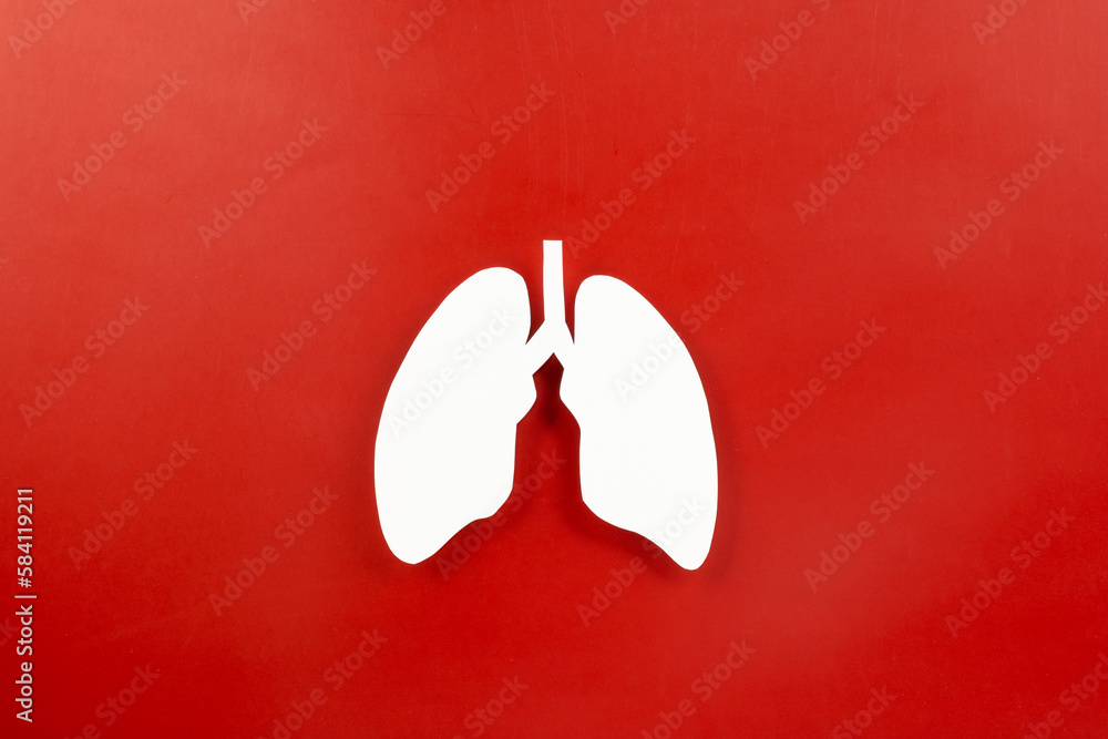 World tuberculosis day. Top view Lungs paper decorative symbol on red ...