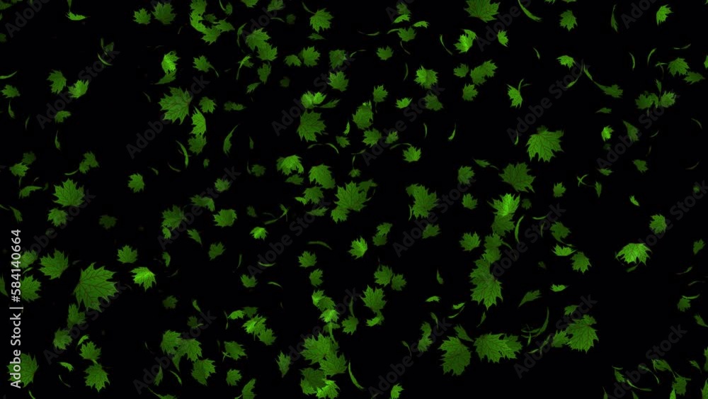 Green leaves animation in 4k Ultra HD, Transparent animation with ...