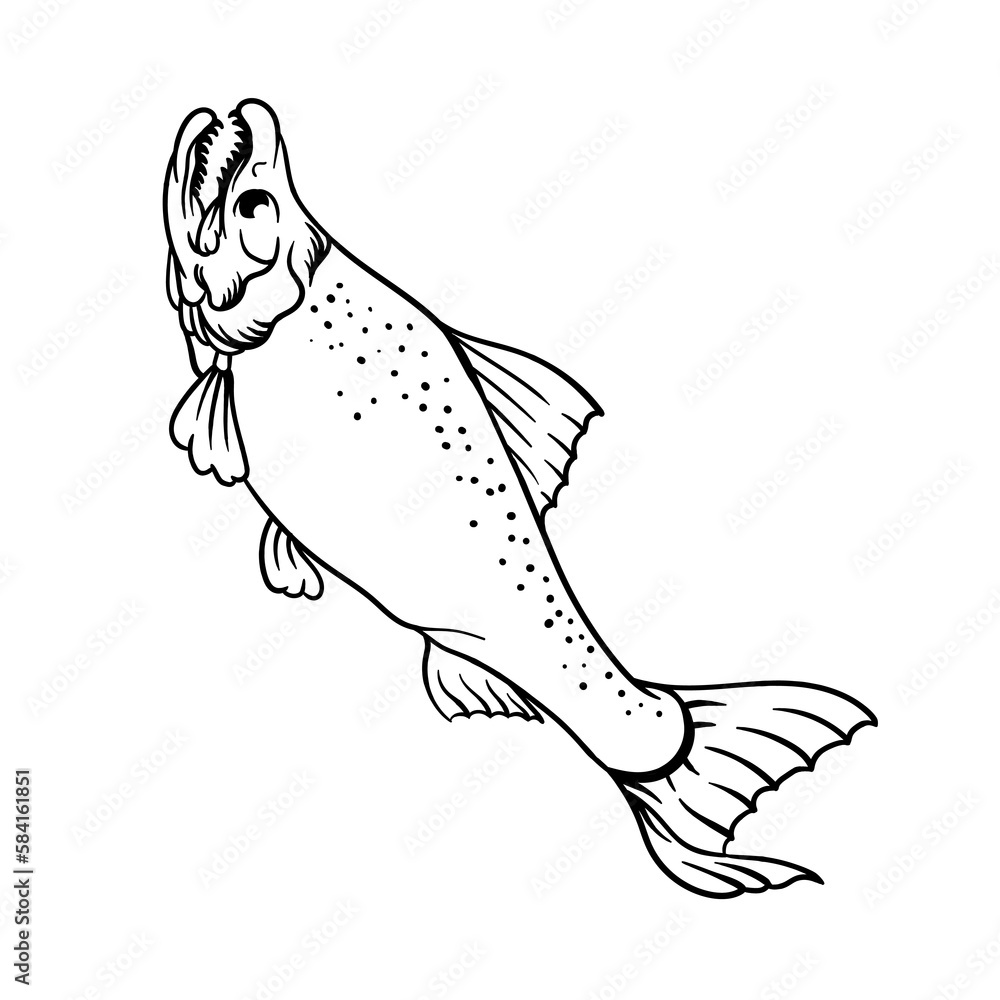 Hand drawn illustration of salmon fish outline design Stock Vector ...