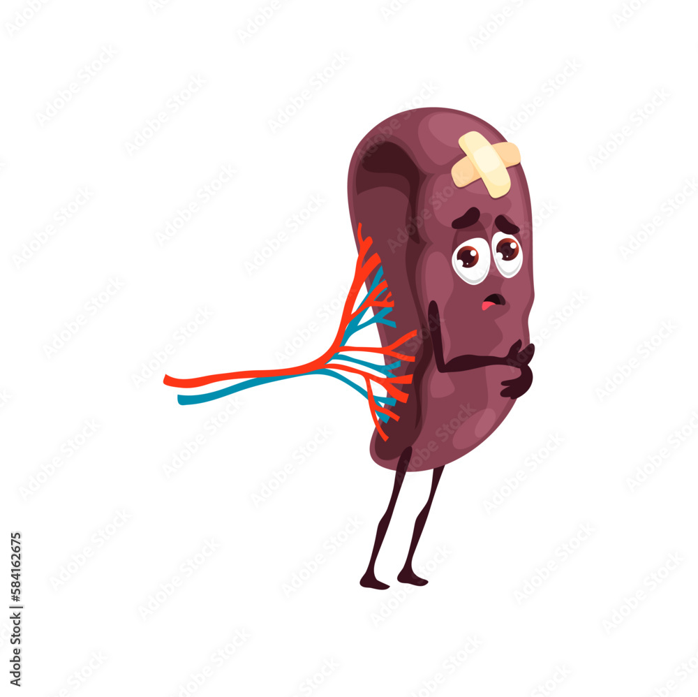 Spleen sick body organ character. Cartoon vector diseased anatomical ...