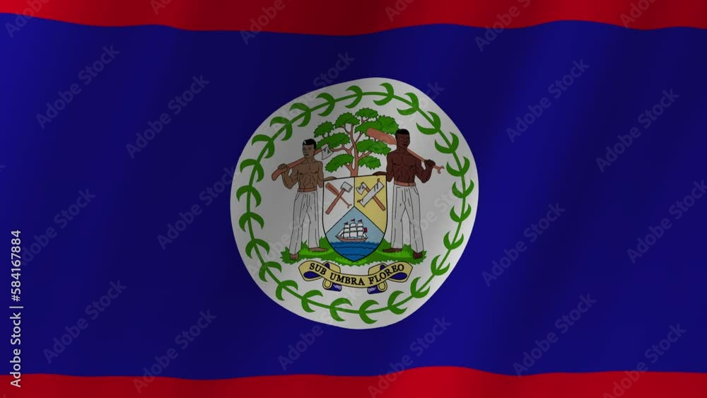 Animation of the Belize flag waving in the wind. Realistic animated ...