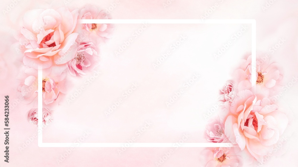 Poster pink roses flower frame with white square stroke and copy space ...