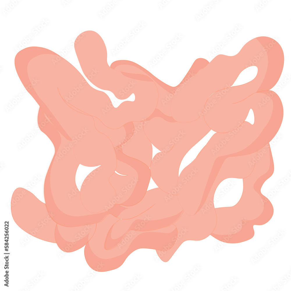 Organ of digestive system of Human Anatomy eating process on png ...