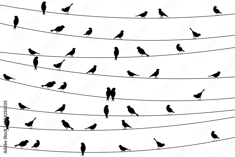 bird on wires wallpaper on transparent background, Vector illustration ...