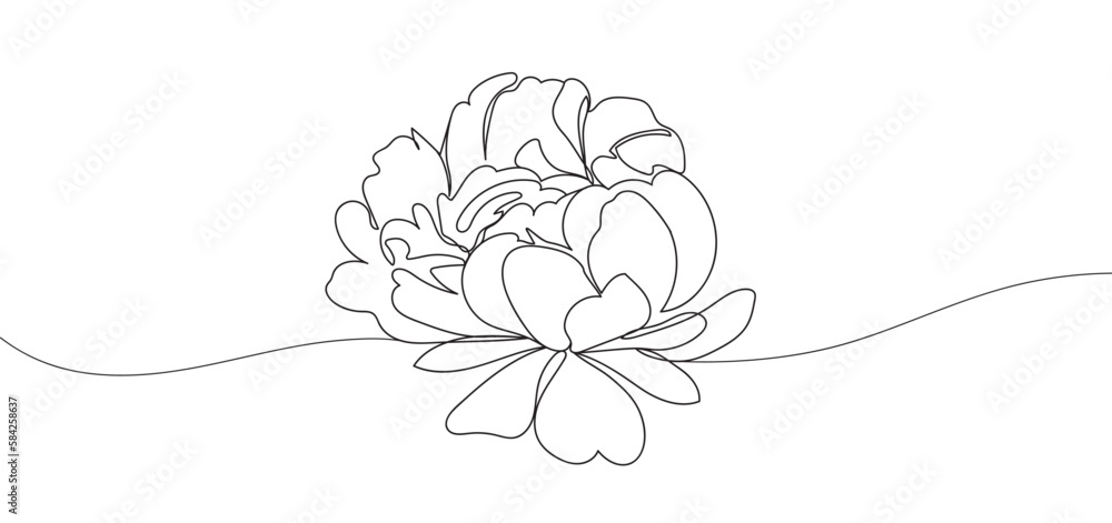 Single line Peony flower vector illustration. Beautiful line art for ...