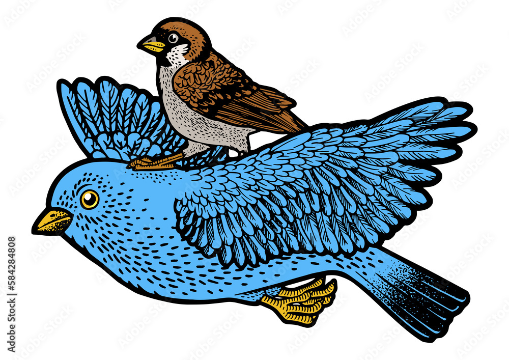 Bird ride bird while flying line art color sketch PNG illustration with ...