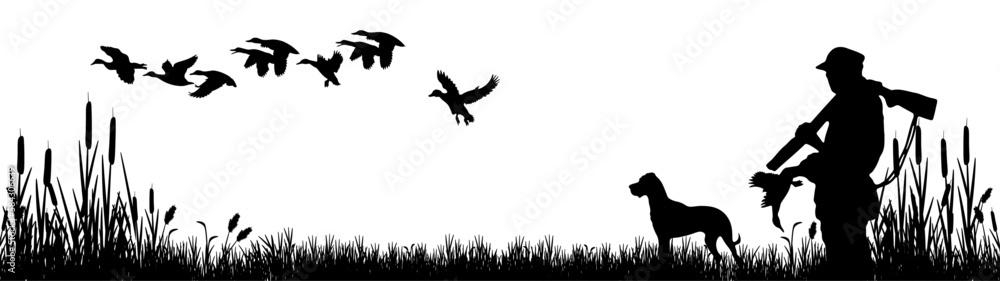 Wildlife Duck animals hunting hunt landscape panorama vector ...