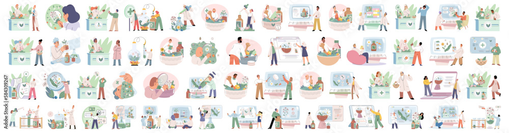 Doctor checking medicinal herbs. Natural herbal medicine selection ...