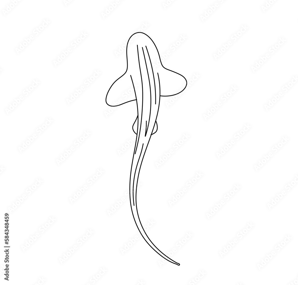 Vector isolated one single swimming reef shark top view colorless black ...
