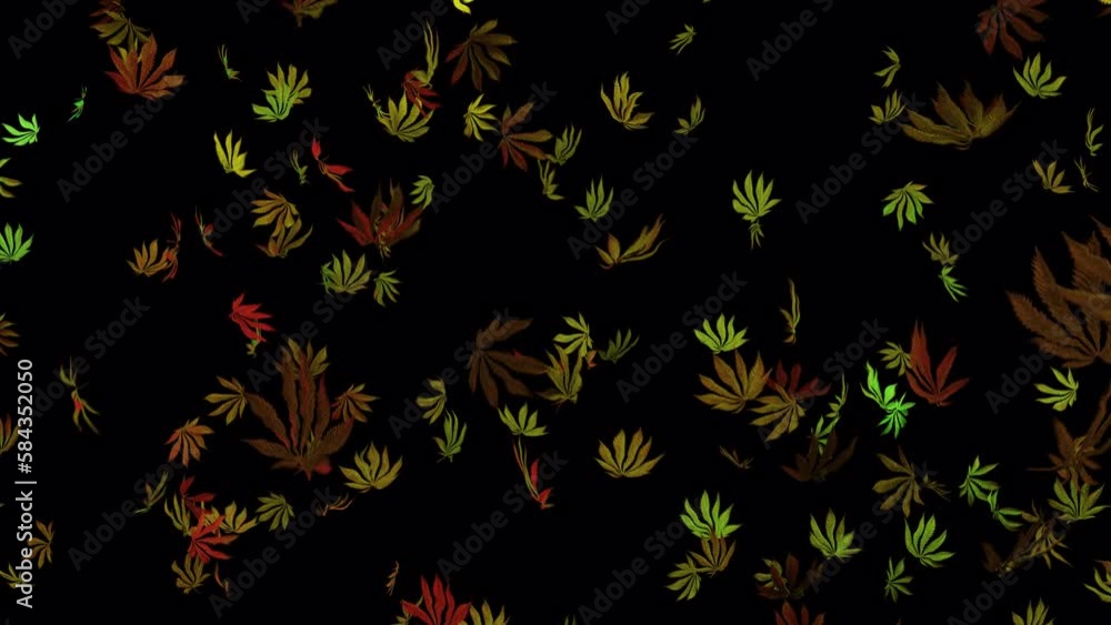 Colorful Marijuana leaves falling down animation 3d vj loop party ...