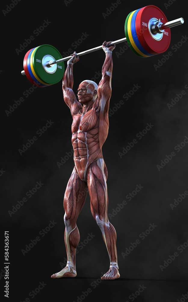 3d Illustration of a muscular man figures pose with skin and muscle map ...