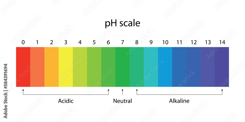 pH scale. Acids and bases Stock Vector | Adobe Stock
