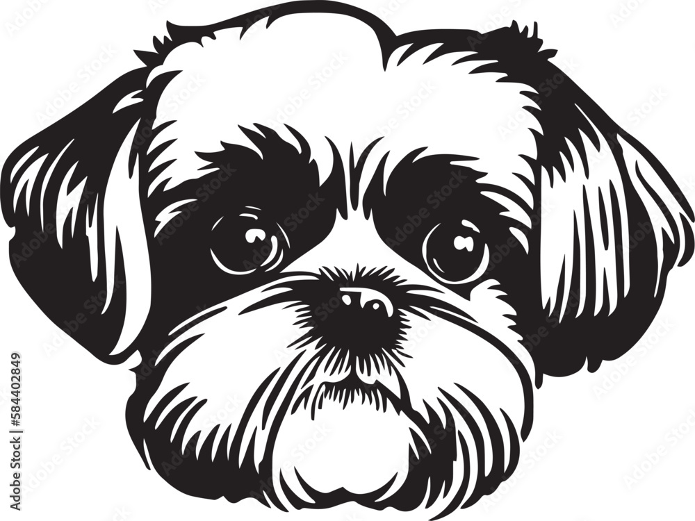 Vetor de Shih tzu dog face isolated on a white background, EPS, Vector ...