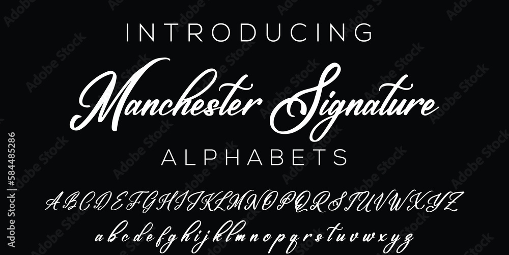 Signature Font Calligraphy Logotype Script Brush Font Type Font ...