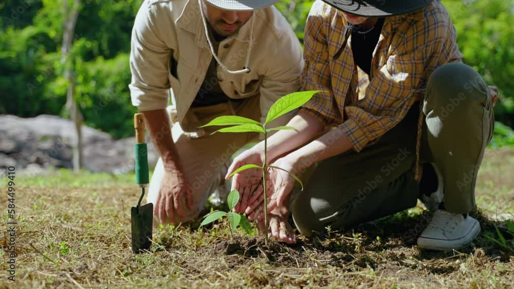 asian couple conservation volunteers are helping reforestation to ...