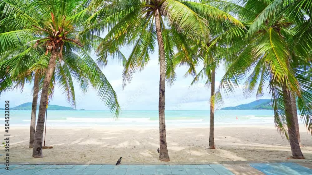 Beautiful coconut palm trees on the beach Phuket Thailand, Patong beach ...