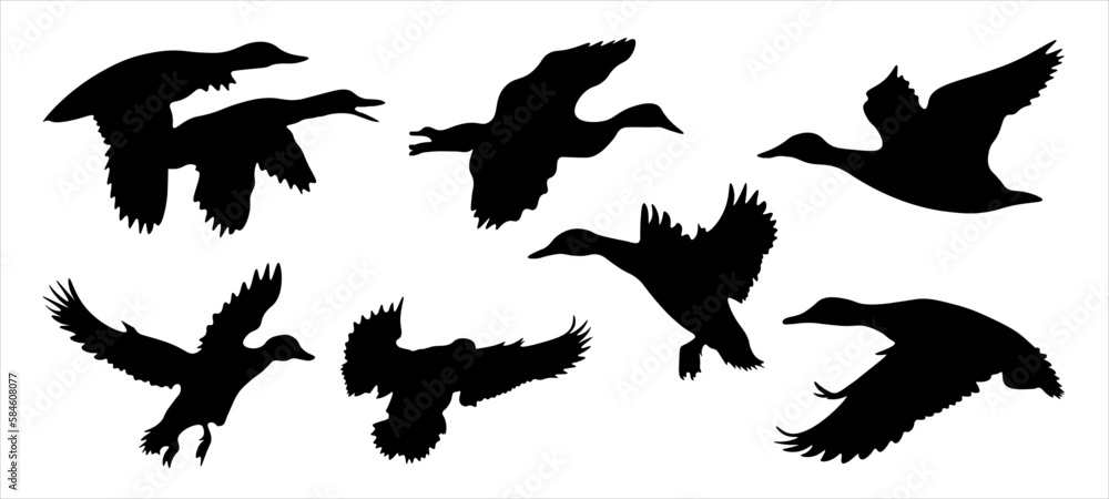 Wildlife Duck animals hunting hunt icons symbol set collection vector ...