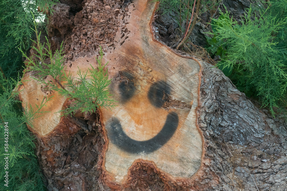 Large tree trunk cut down. Spray painted face on the cut part of the ...