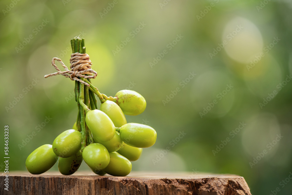 Neem or azadirachta indica fruits on nature background. Stock Photo ...