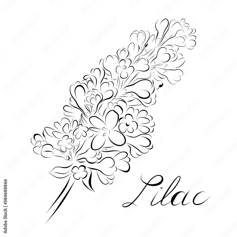 Continuous line drawing. line art lilac Vector Stock Vector | Adobe Stock