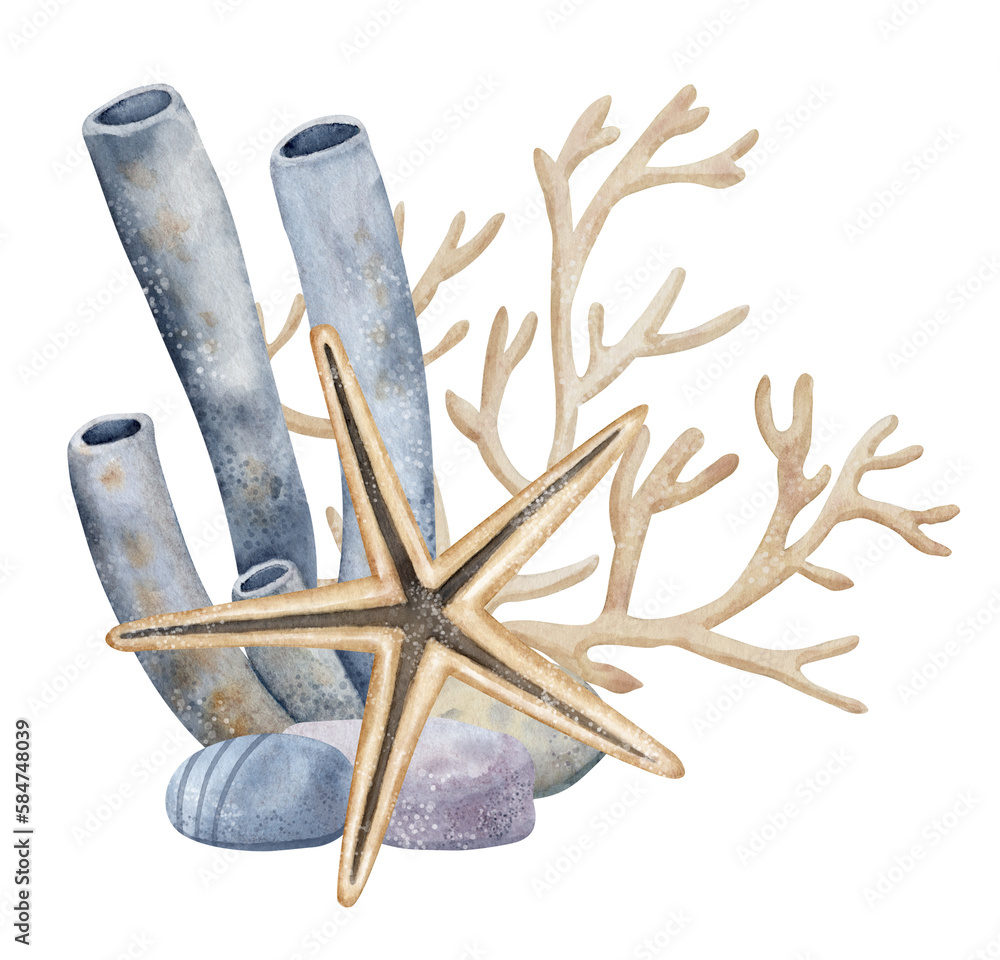 Underwater composition with tube Coral and sea Star on isolated ...