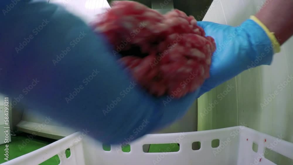 Fresh Meat in Industrial Meat Grinder in Meat Processing Plant. Up ...