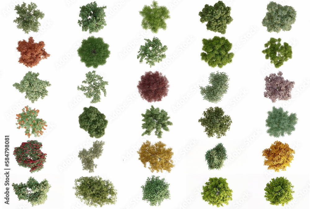 Collection of plan 2D view bushes Isolated on white background ,Use for ...
