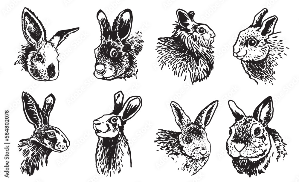 Graphical set of portraits of bunnies isolated on white,vector elements ...