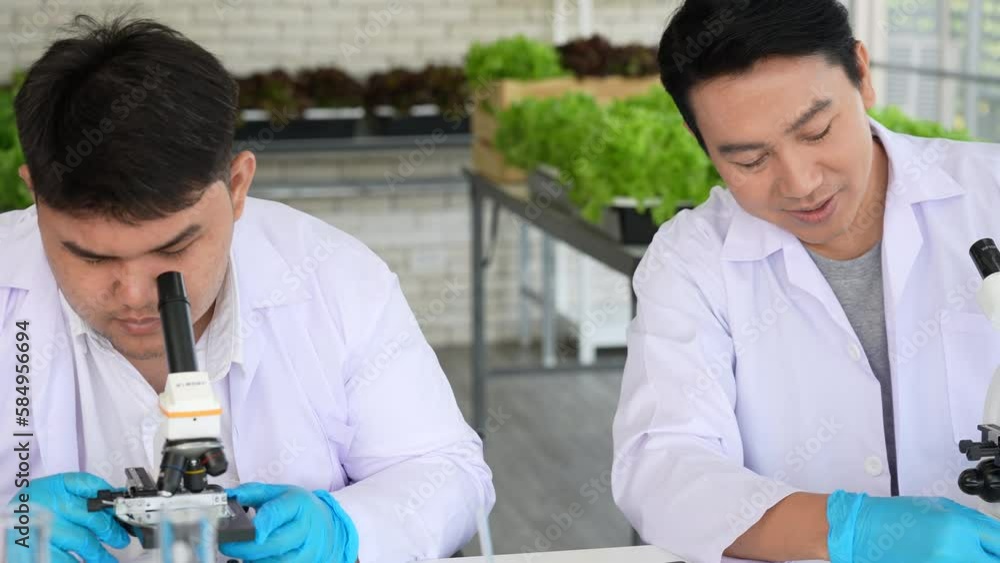 Asian Scientist Team Doing Experiment on Genetic Modification Organism ...