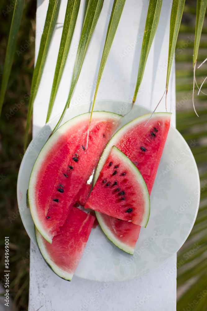 tropical background with watermelon Stock Photo | Adobe Stock