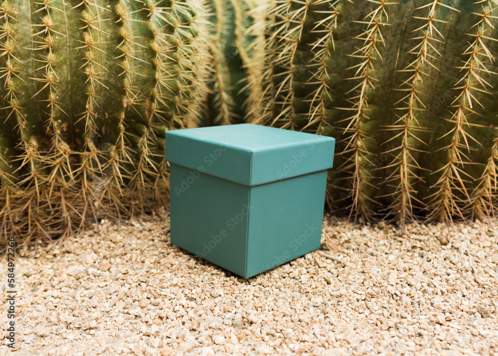 Green box in front of wild cactus Stock Photo | Adobe Stock