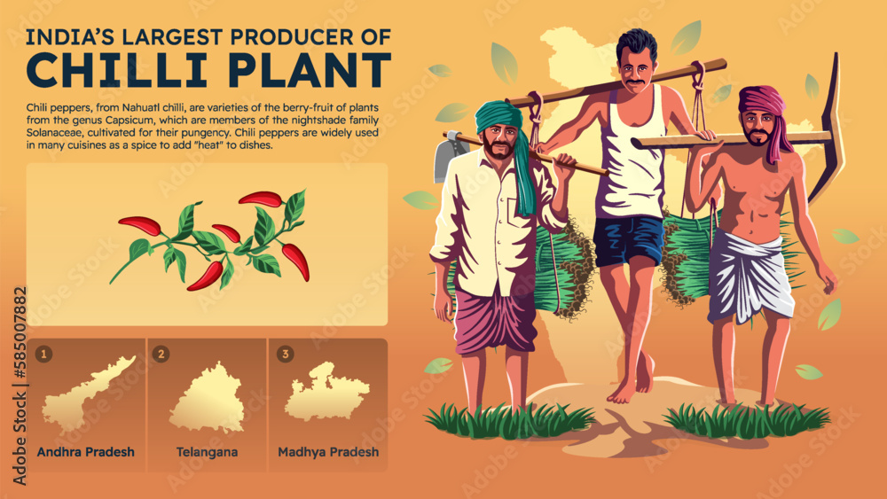 Visualizing India's Chilli Vegetable Producing States and Their Farmers ...