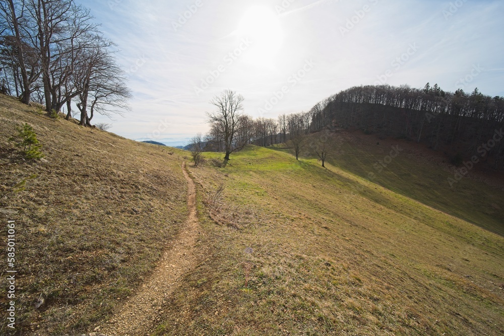 landscape in the swiss jura in the canton of basel land, on one of the ...