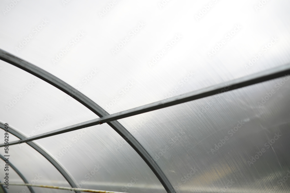 Greenhouse polycarbonate roof frame - spherical lines texture for ...